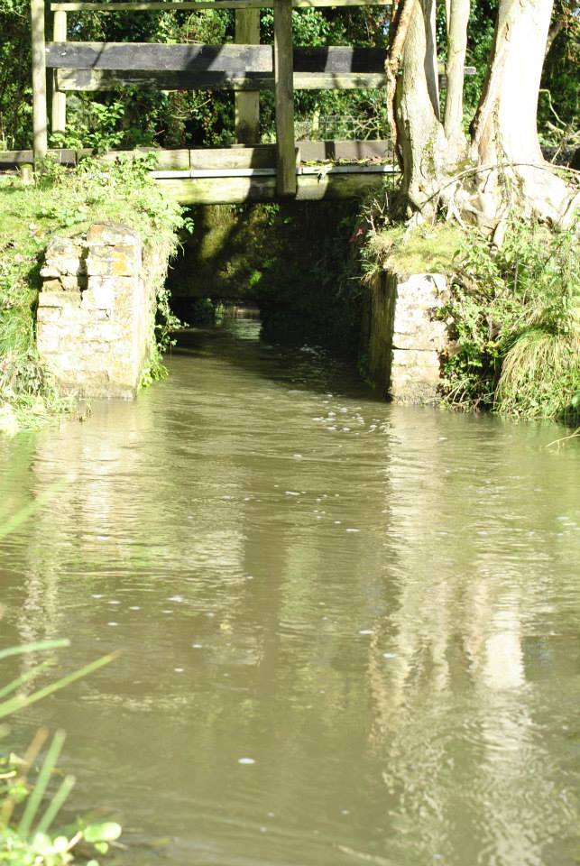 The River - Whitwell Hall