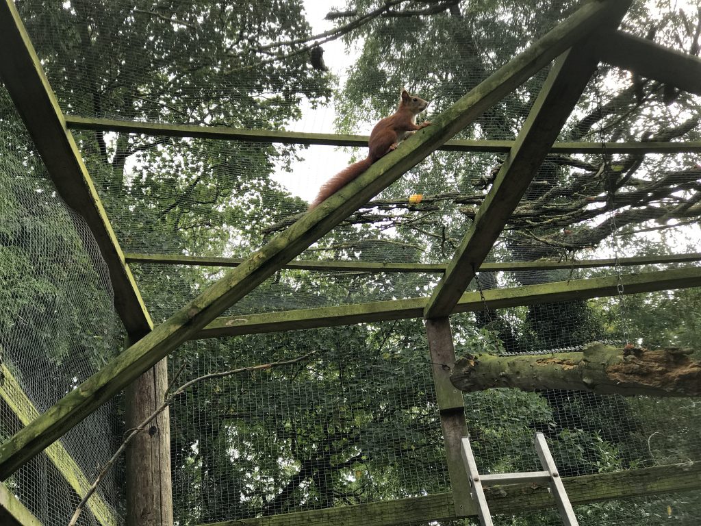 Gallery - Whitwell Hall