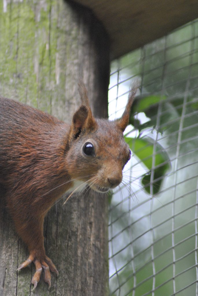 Gallery - Whitwell Hall